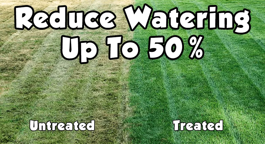 Moisture Management for a Healthy Lawn by Green Dream Lawns in ...