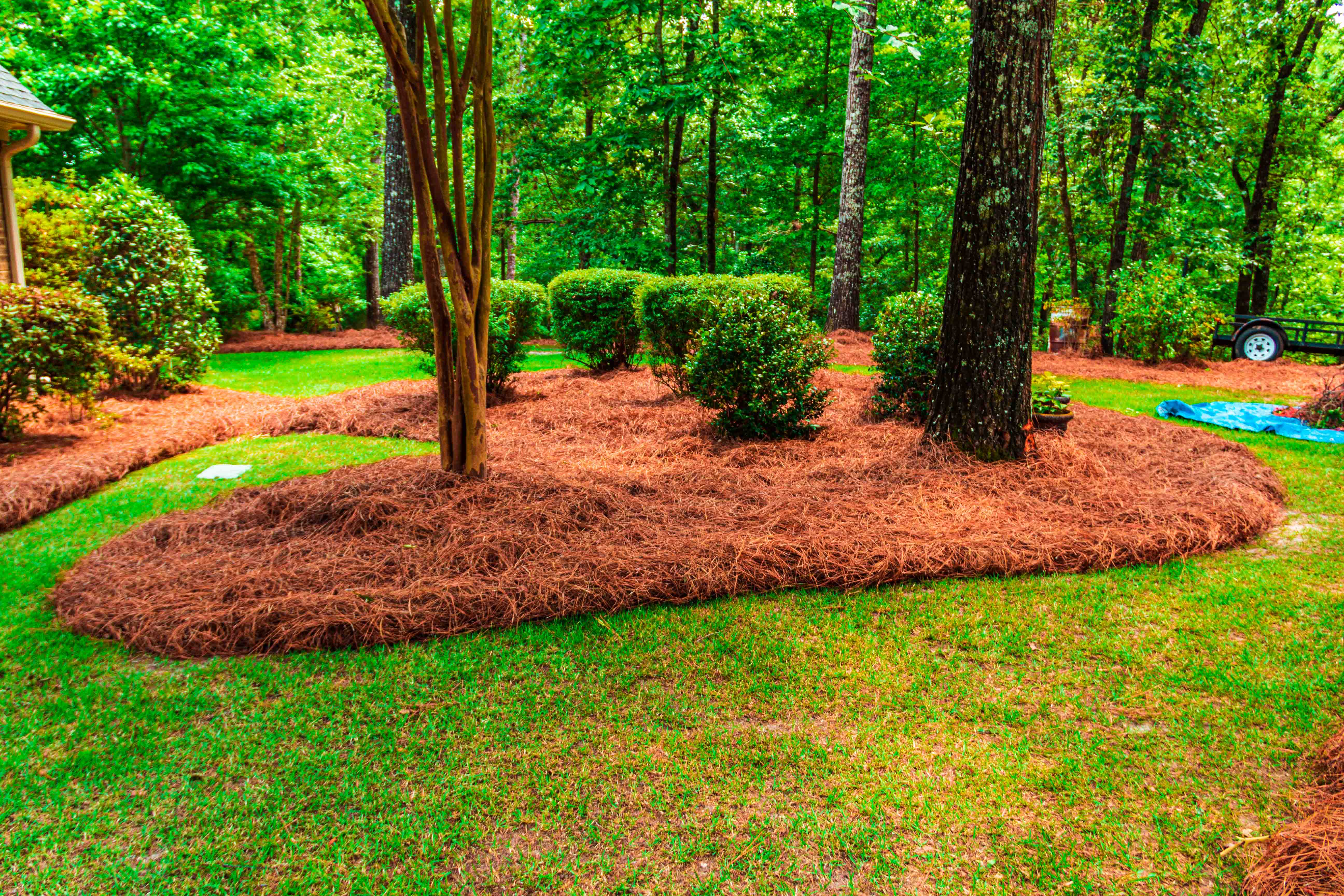Pinestraw and Mulch Installation by Real Turf Solutions in Fort Valley ...