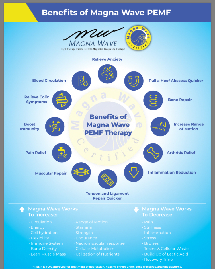 MagnaWave Therapy by Winning Edge Equine Sports Therapist in Rumsey, AB ...