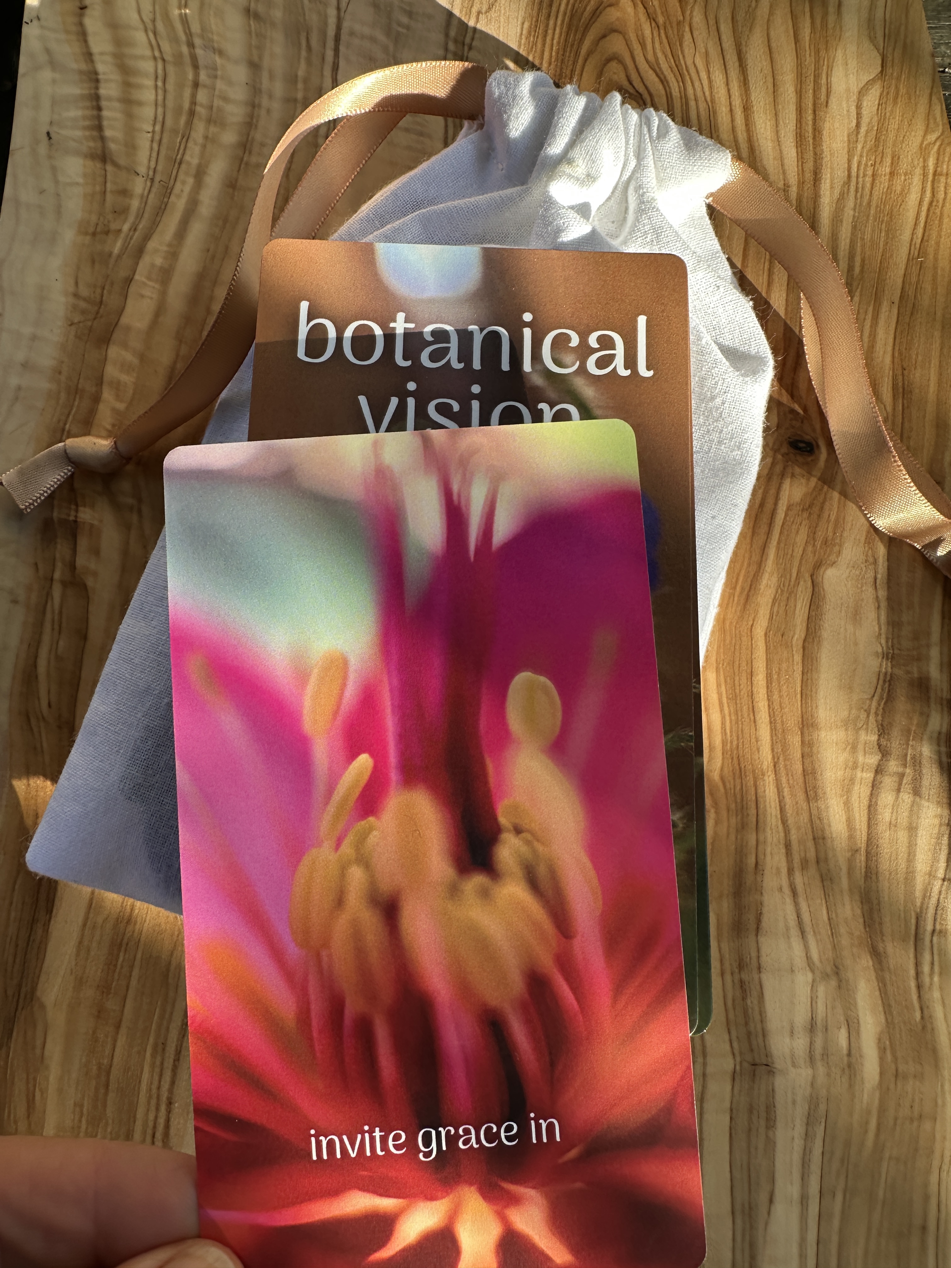 Botanical Vision Oracle Cards by contemplative and visionary artist and ...